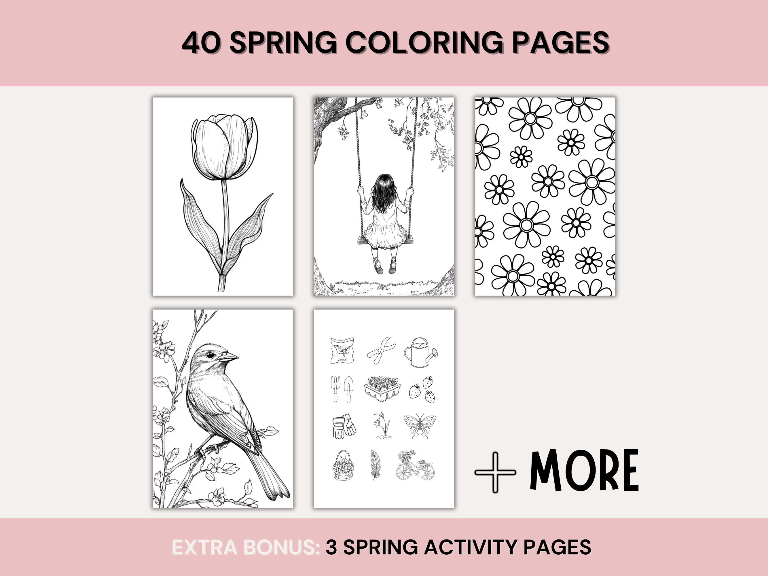 Spring Coloring Pages, Springtime Coloring Sheets for Kids, Teens and ...