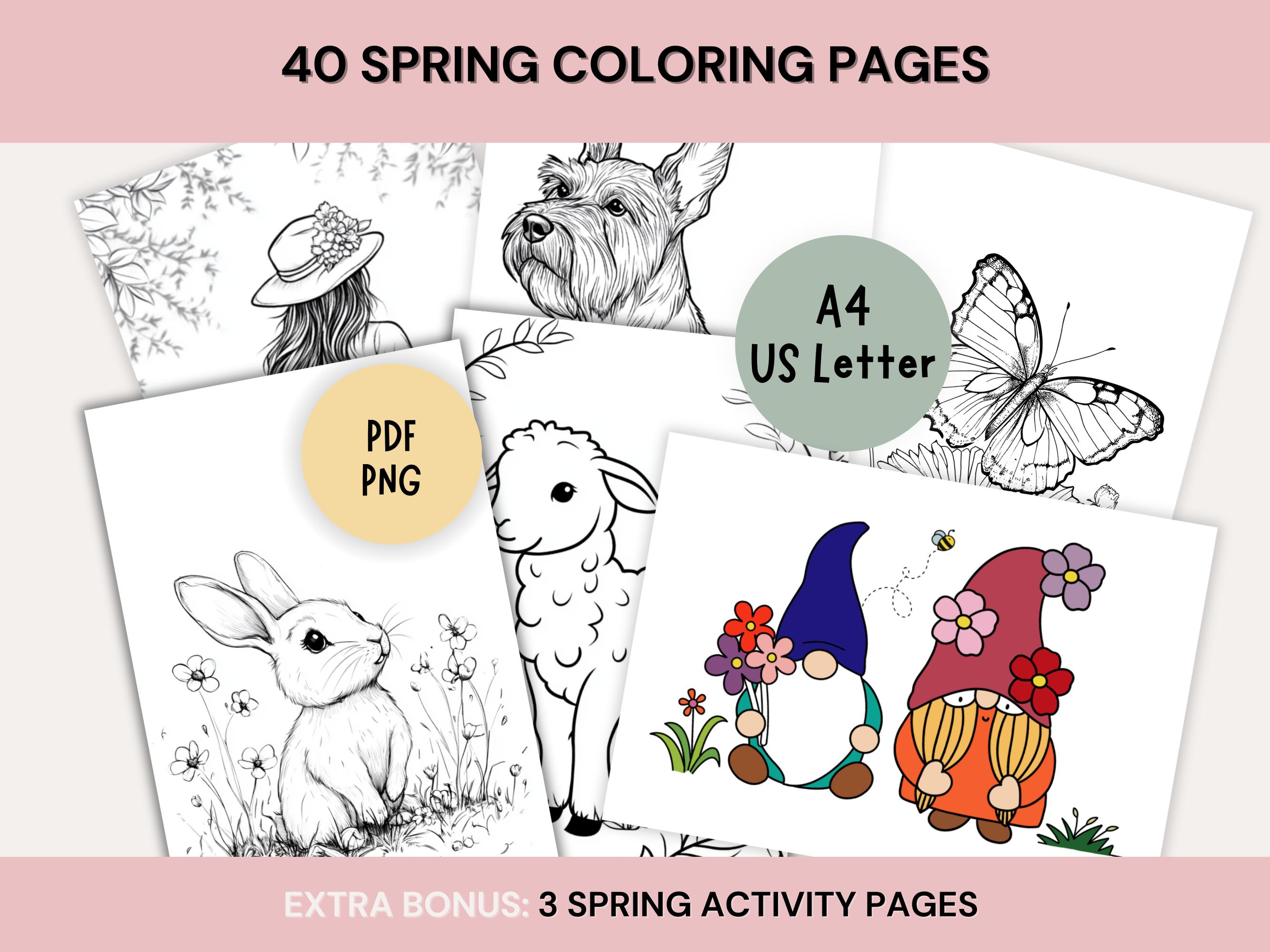 Spring Coloring Pages, Springtime Coloring Sheets for Kids, Teens and ...