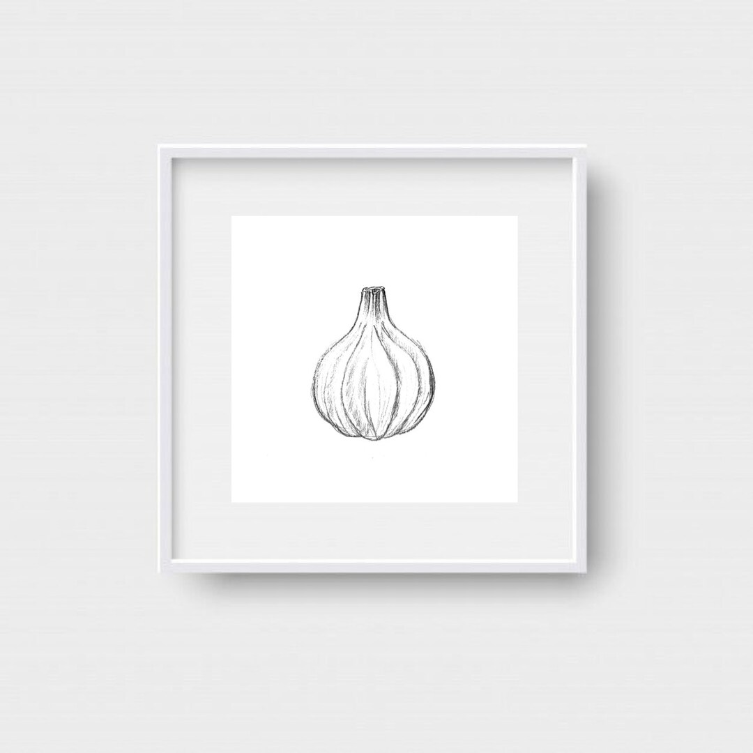 Instant Download Solo Onion Pencil Sketch Hand Drawn - Etsy