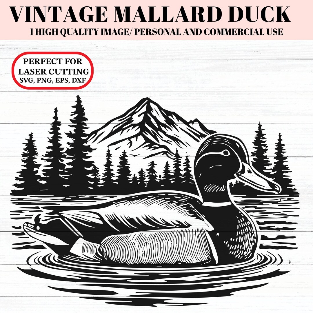 Mallard Duck Svg, Vintage Mallard Duck, Duck Png, Mallard Duck Clipart ...