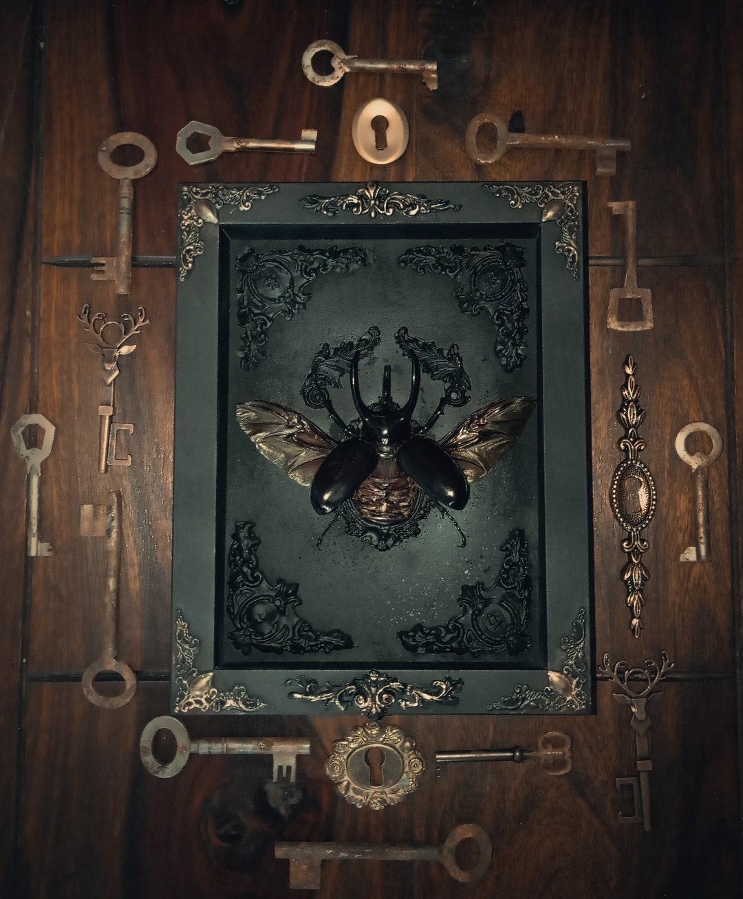 Made to Order Real Framed Beetle Chalcosoma Atlas Taxadermy Handmade ...