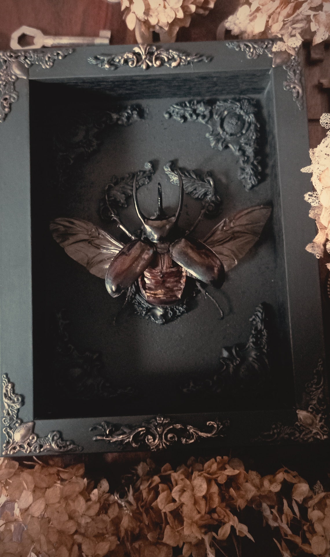 Made to Order Real Framed Beetle Chalcosoma Atlas Taxadermy Handmade ...