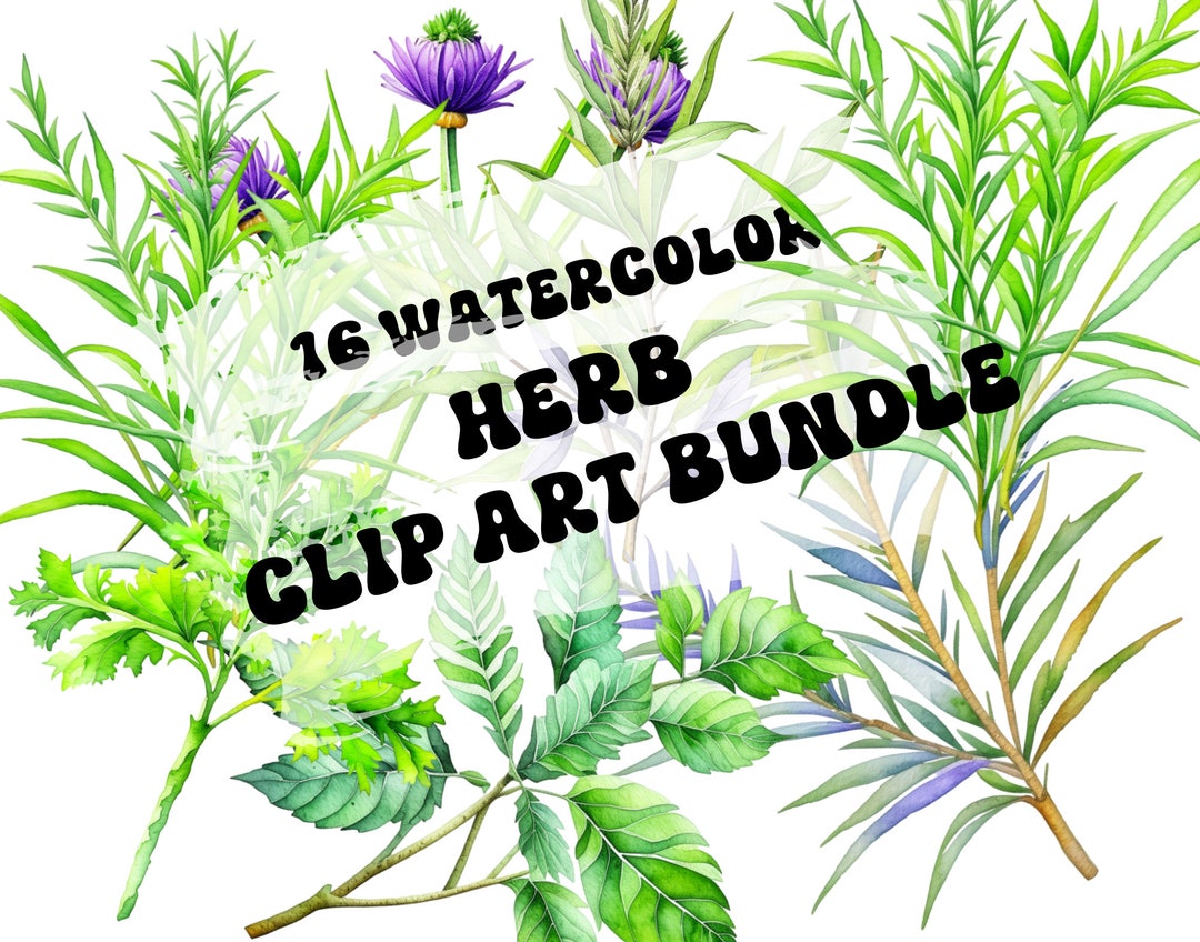 Kitchen Herbs Clip Art PNG Bundle Homesteading Gardening Culinary Herb ...