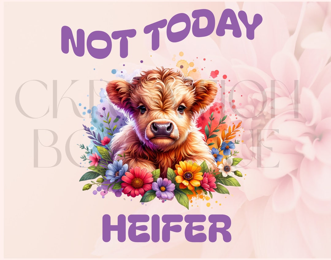 Funny Highland Cow Png Diva Cow Png Not Today Heifer Png Pink Highland ...