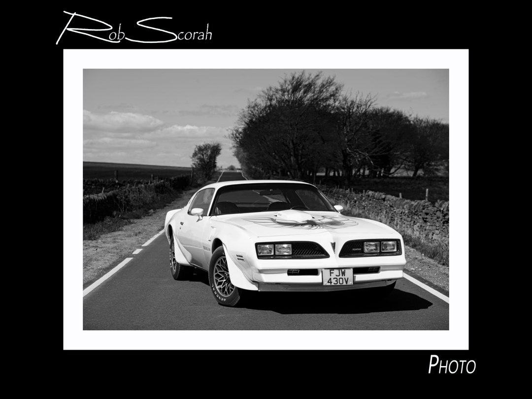 Pontiac Firebird Trans Am, Wall Art, Classic Car, Fine Art Photography ...