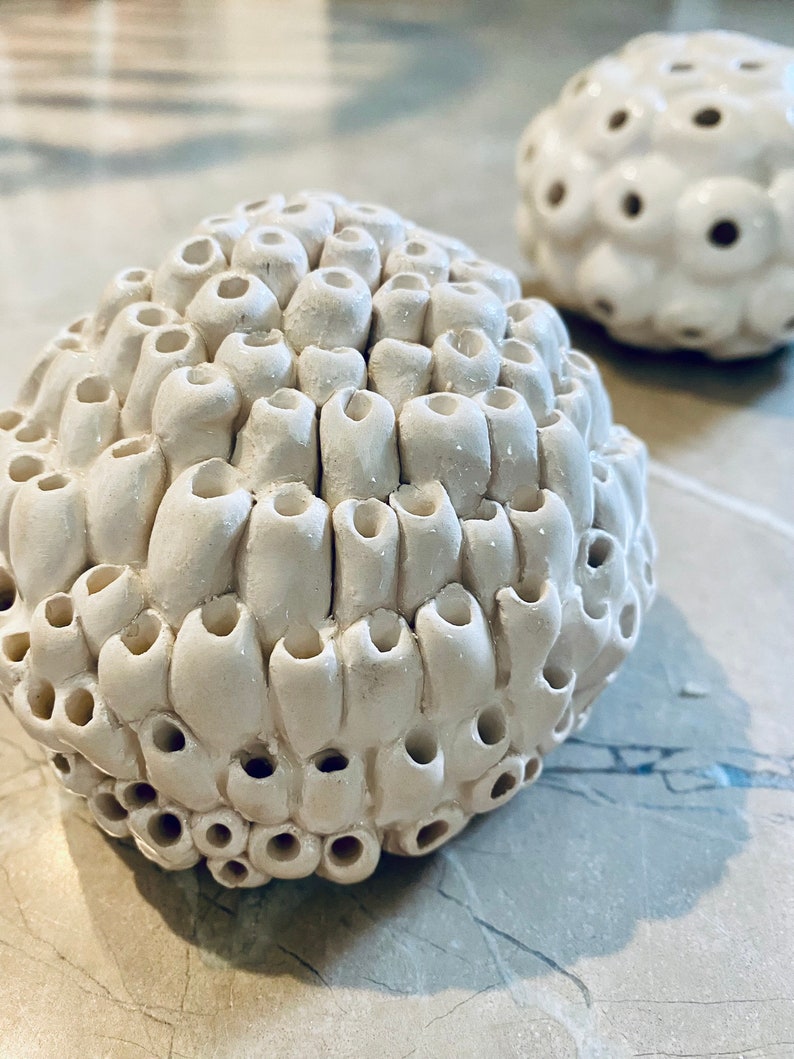Ocean Inspired Coral Clay Sculpture for Minimalist Home Decor and ...