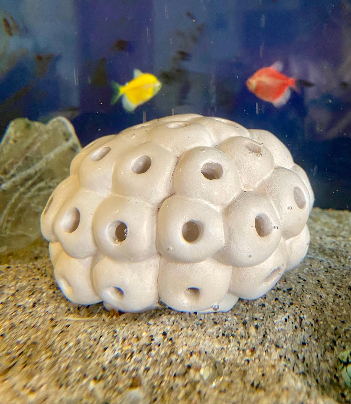 Ocean Inspired Coral Clay Sculpture for Minimalist Home Decor and ...