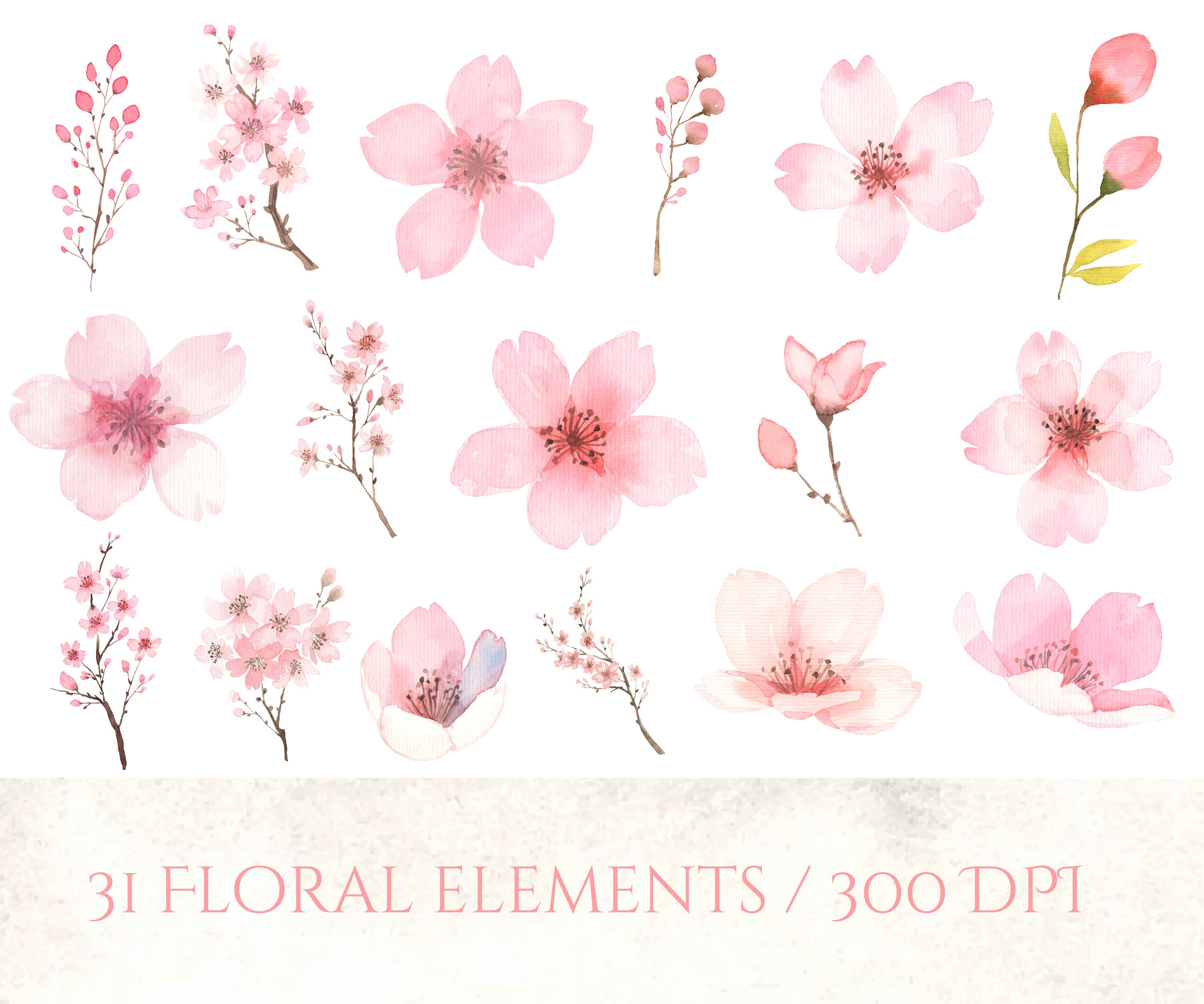 Cherry Blossom Watercolor Floral Clipart Instant Download Blossom ...