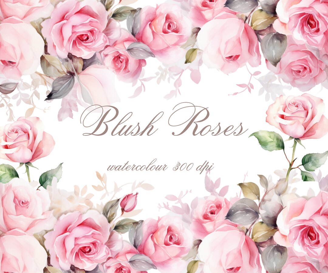 Blush Roses Png Files | Watercolour Clipart | Instant Download | Floral ...