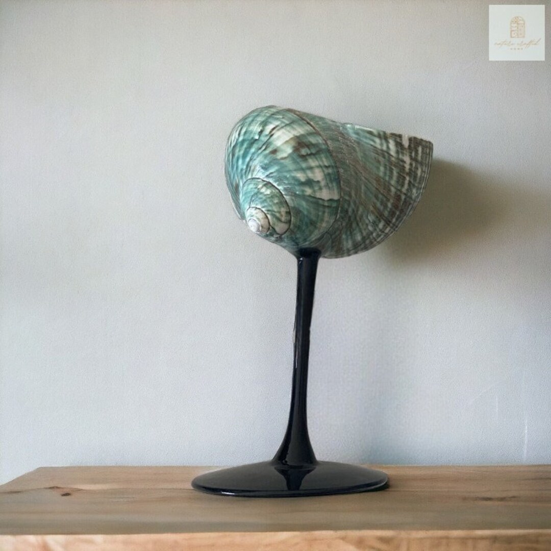 Conch Shell Wine Glass,shell Martini Cups,seashell Wine Glass,conch ...