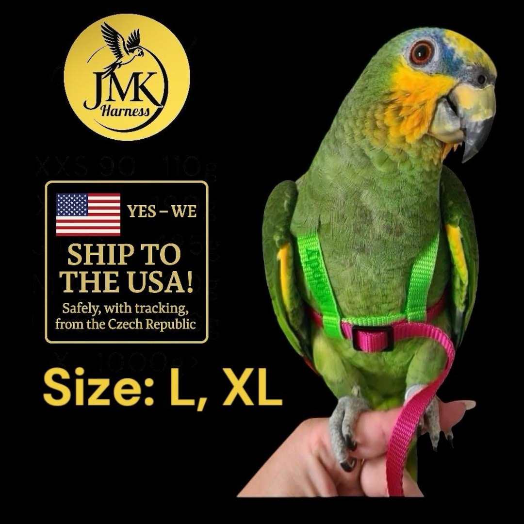 Parrot Harness – Original JMK – Size L (600–1000g), XL (1000g+) – for ...