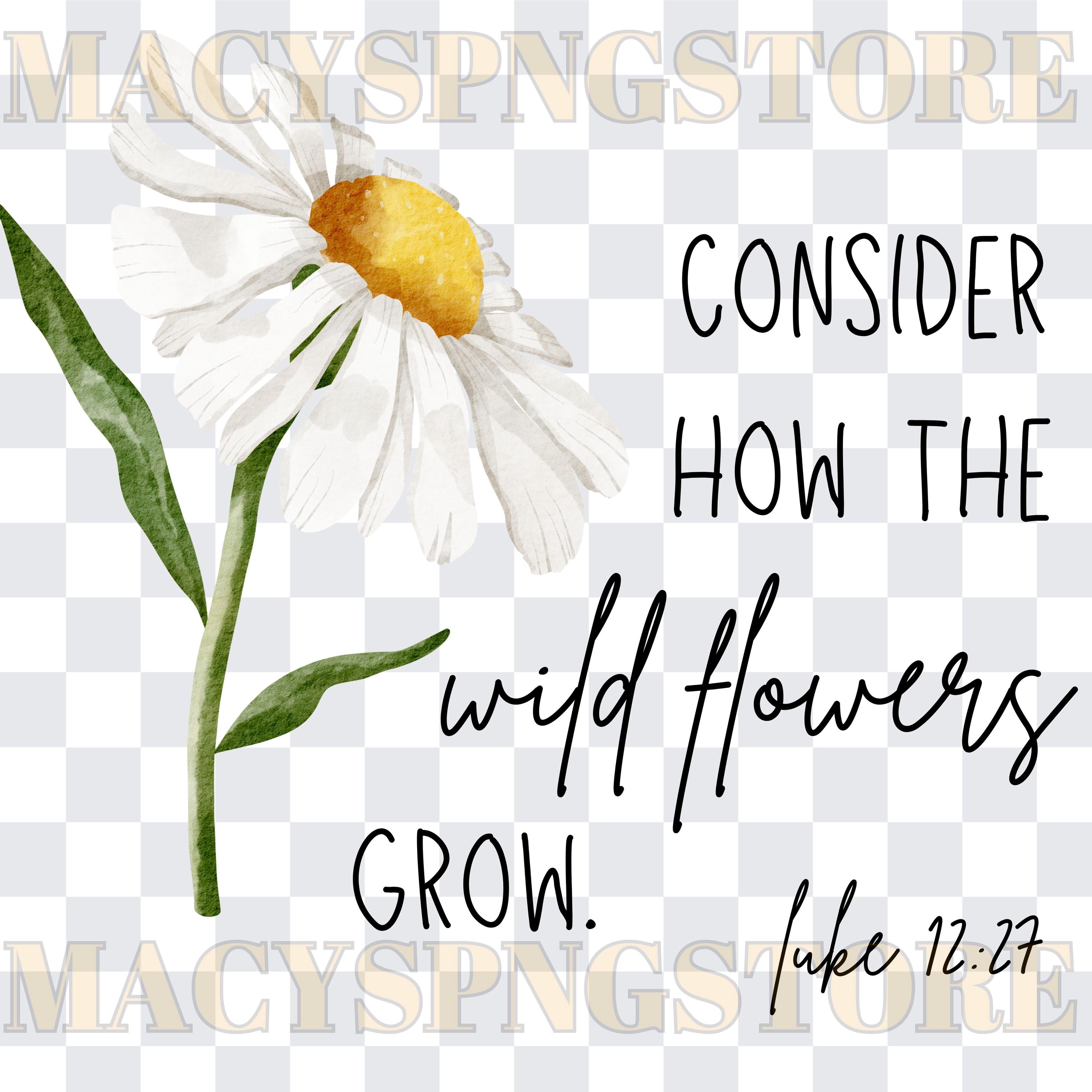 Consider How the Wild Flowers Grow PNG, Luke 12:27 SVG, Wildflowers ...