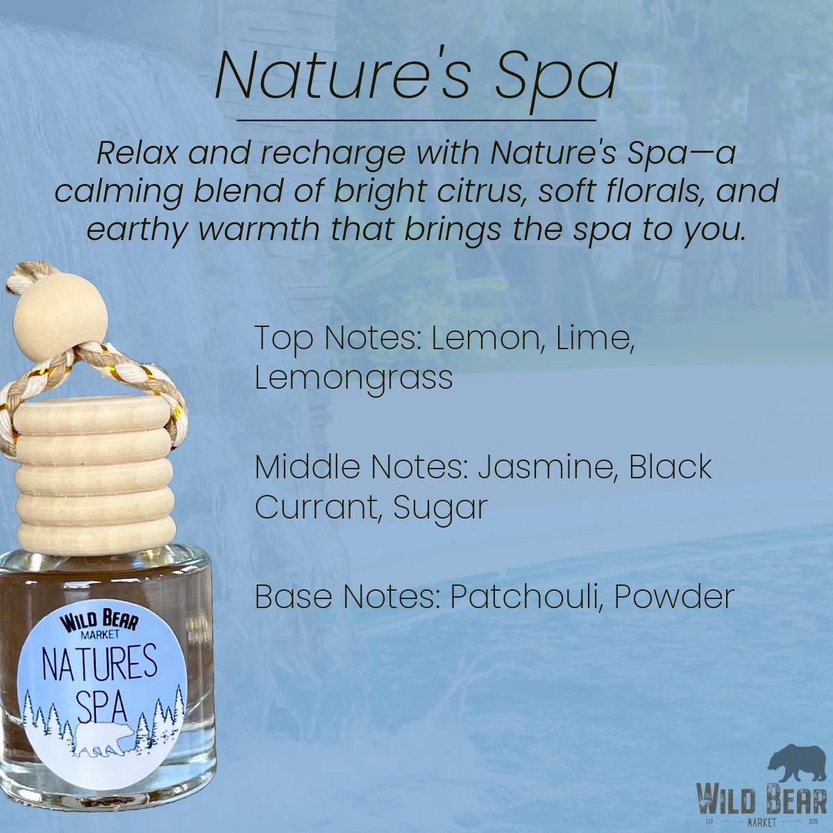 Nature's Spa Car Freshener | Hanging Car Diffuser | Hanging Car Air ...