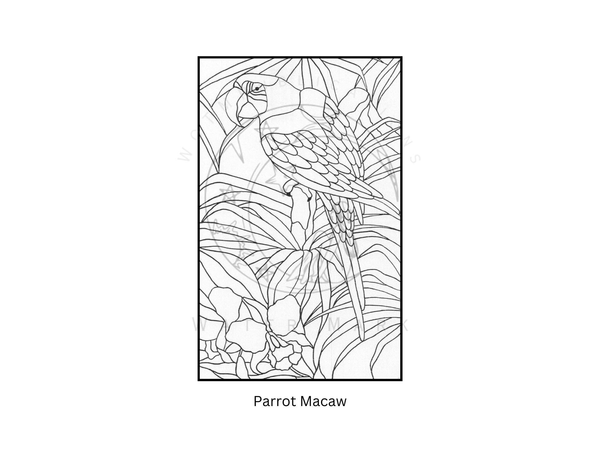Stained Glass Pattern: Parrot Macaw, Wotmpublication, Parrot Pattern ...