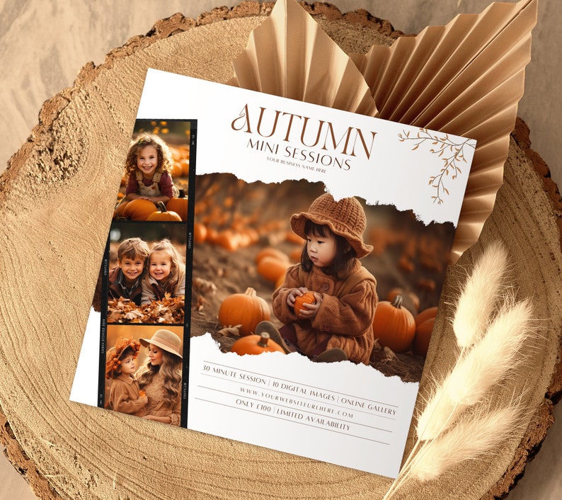 Autumn Mini Sessions Template, Fall Mini Sessions, Pumpkin Minis ...