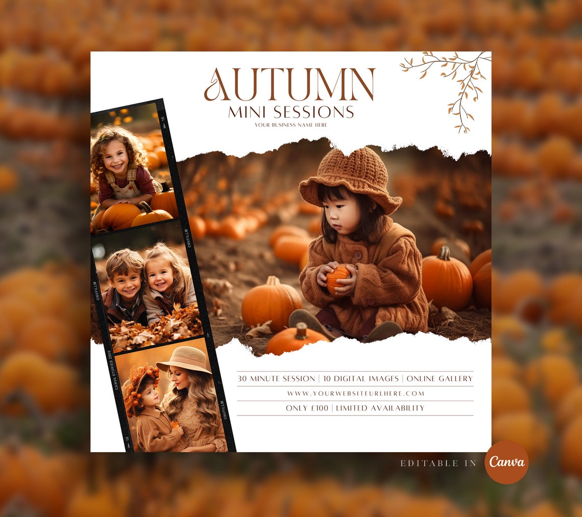 Autumn Mini Sessions Template, Fall Mini Sessions, Pumpkin Minis ...