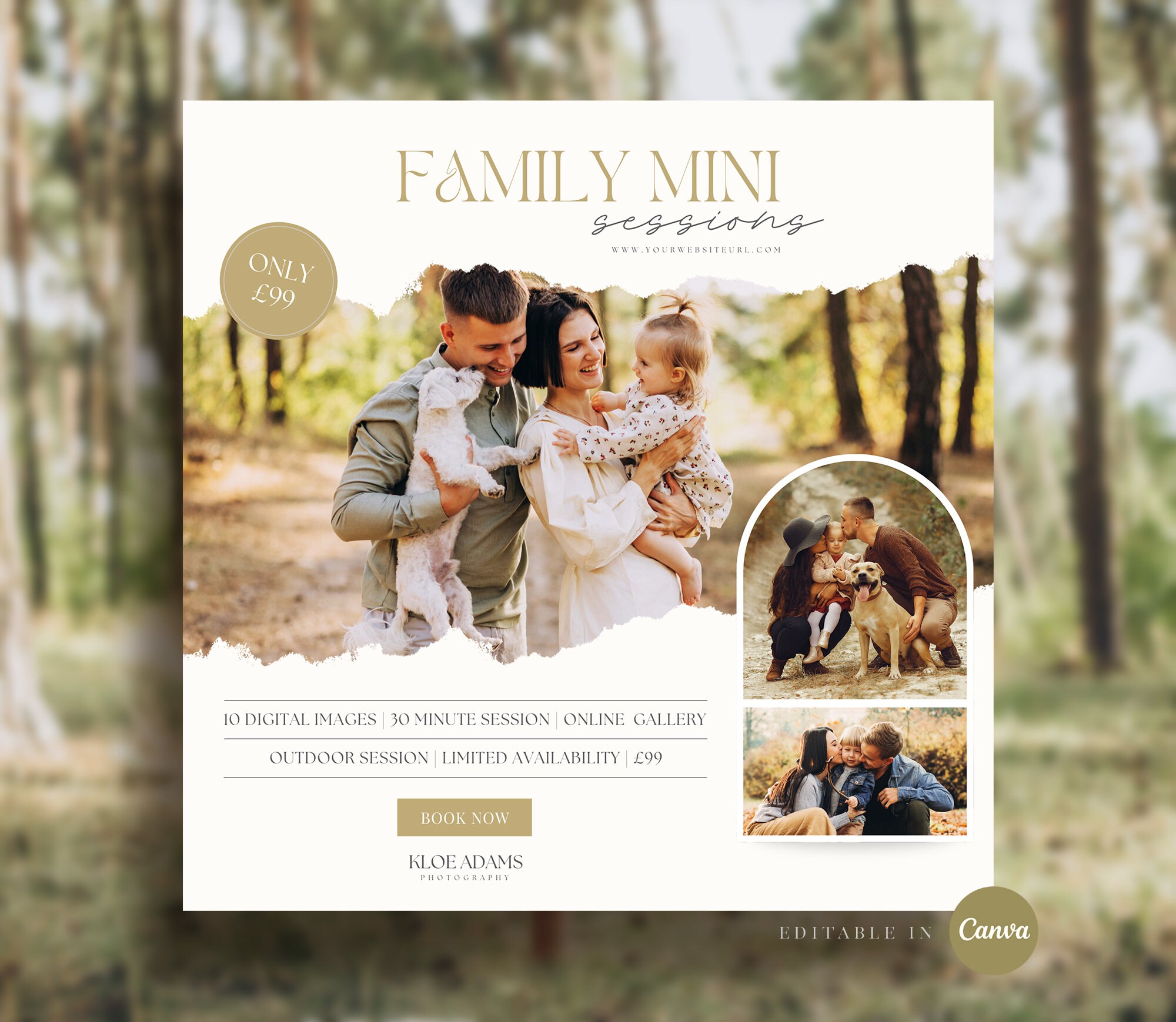 Family Mini Sessions Template, Outdoor Family Photoshoot Template ...