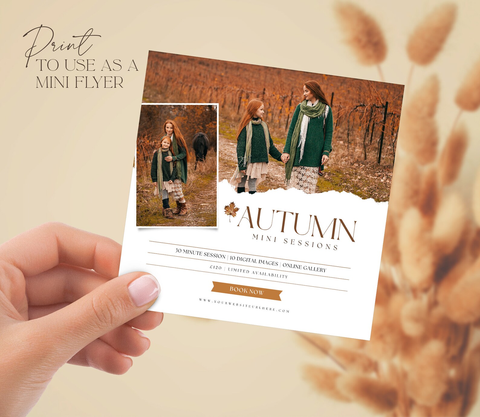 Autumn Mini Sessions Template, Fall Mini Sessions, Photography ...