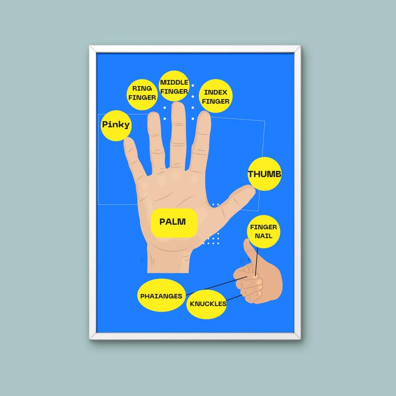 Body,hand Vocabulary Poster, English Grammar for Homeschool, English ...