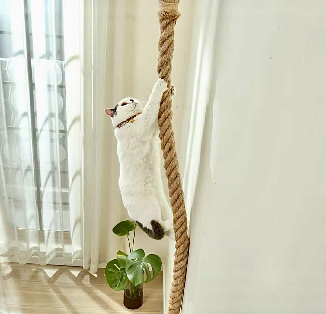 3m SUPER DURABLE Ceiling Cat Climbing Rattan Rope Jute Rope Wall ...