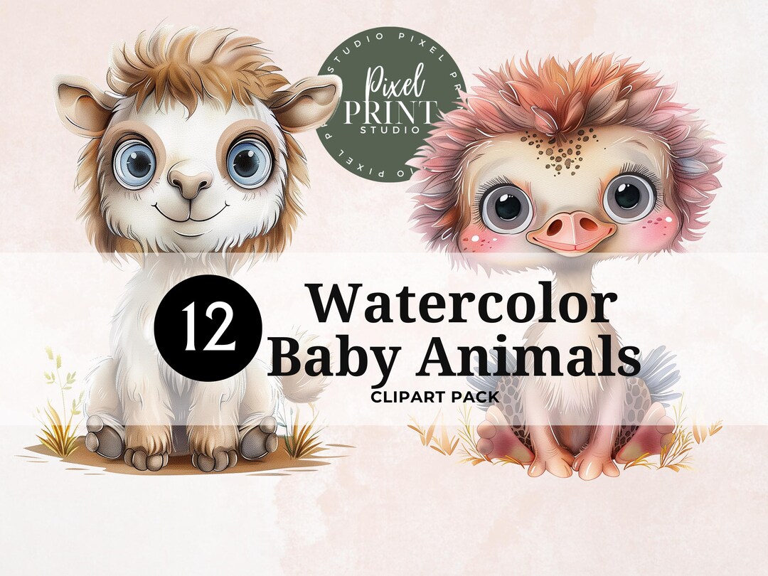 Watercolor Baby Animal Clipart | 12 Whimsical Images for Jungle and ...
