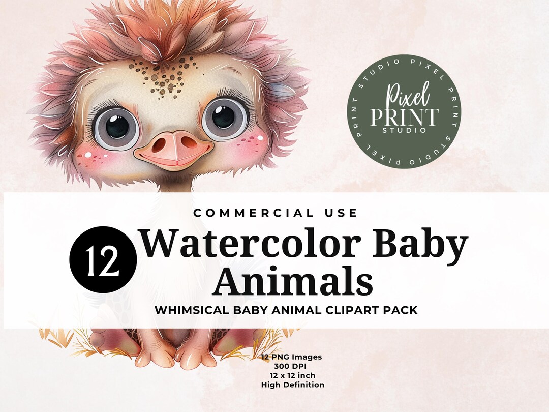 12 Watercolor Baby Animal Clipart Images, Whimsical, Birthday Invite ...