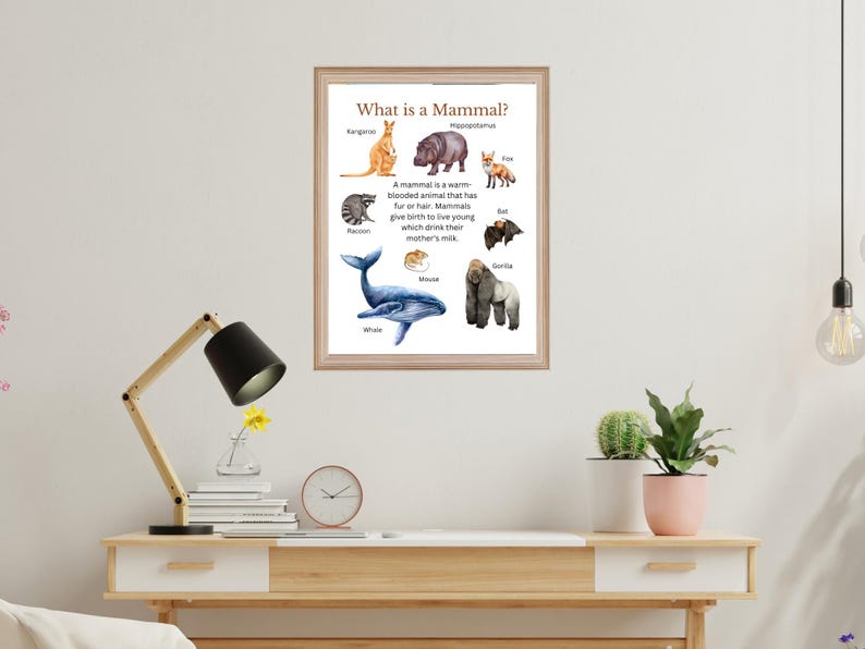 What is a Mammal? - Animal Group Posters - Classroom Decor Nature Study ...