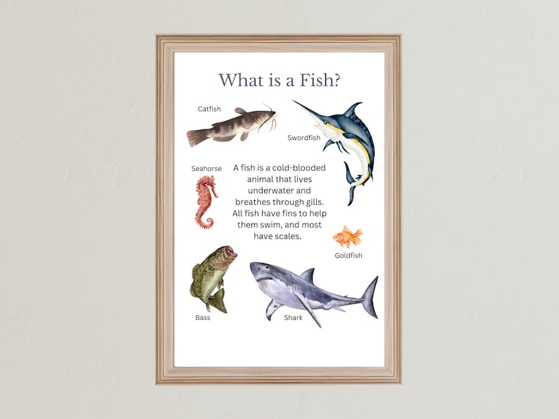 What is a Fish? - Animal Group Posters - Classroom Decor Nature Study ...