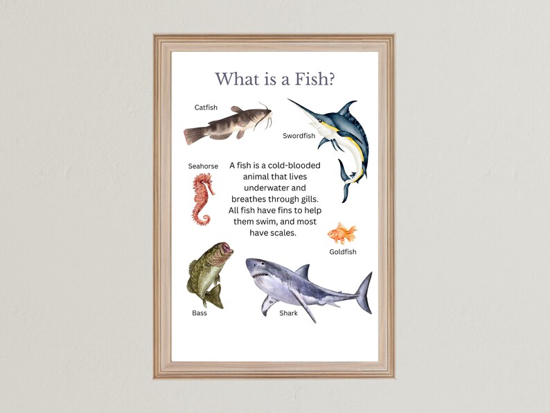 Animal Group Posters - Set of 7 - Classroom Decor Nature Study ...