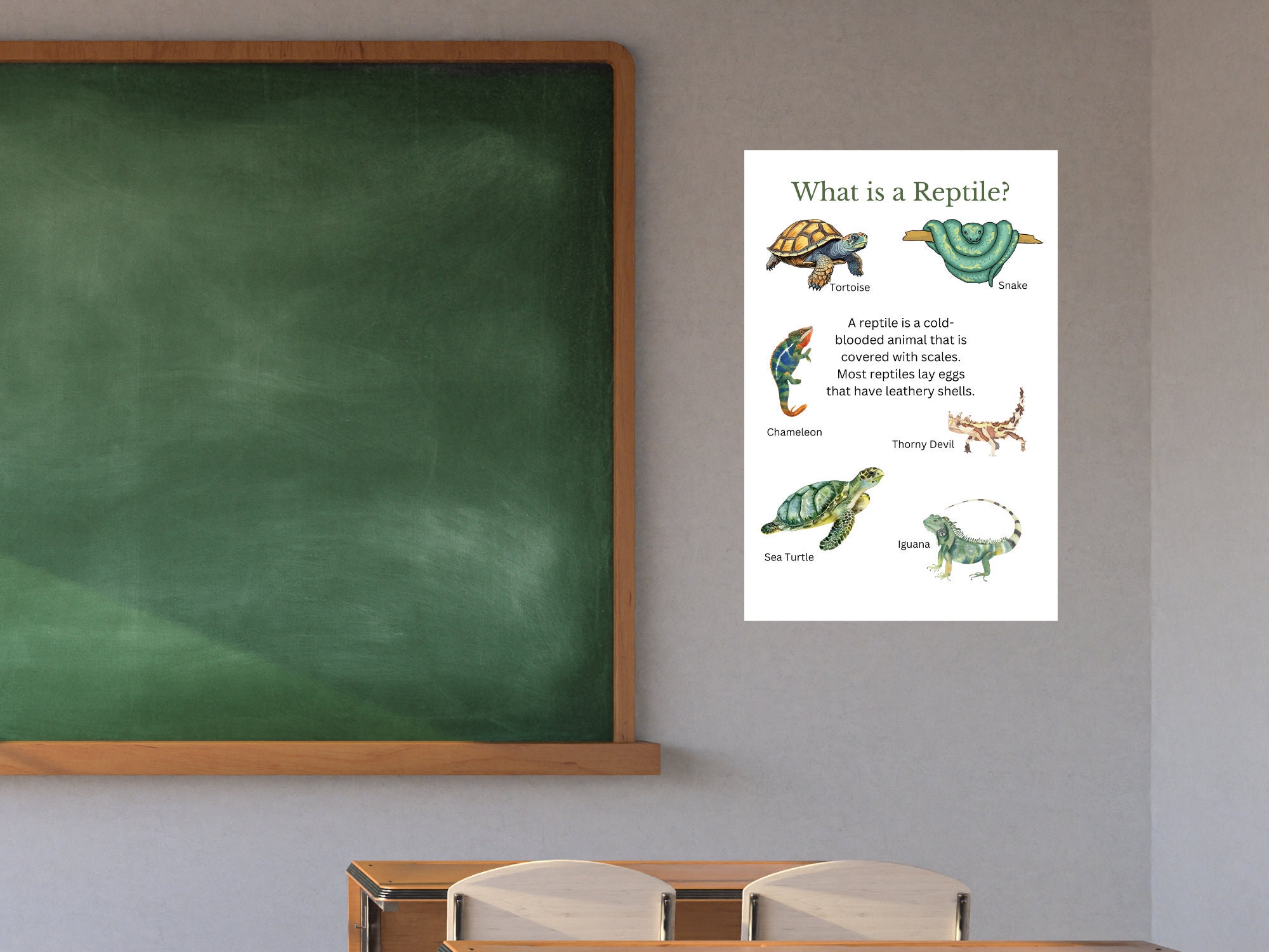 What is a Reptile? - Animal Group Posters - Classroom Decor Nature ...