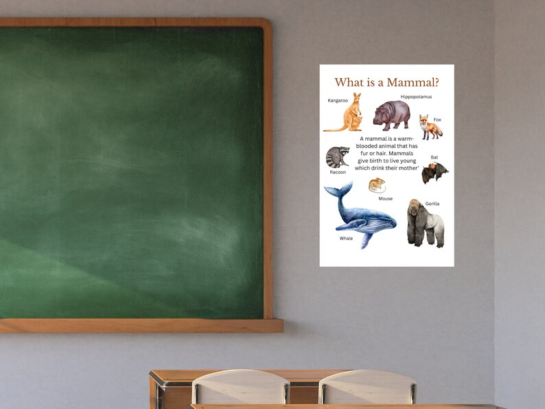 What is a Mammal? - Animal Group Posters - Classroom Decor Nature Study ...