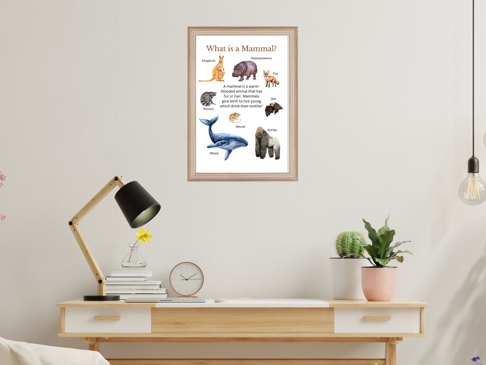 What is a Mammal? - Animal Group Posters - Classroom Decor Nature Study ...