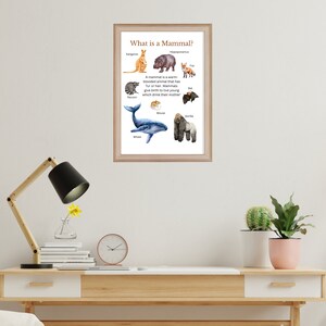 What is a Mammal? - Animal Group Posters - Classroom Decor Nature Study ...