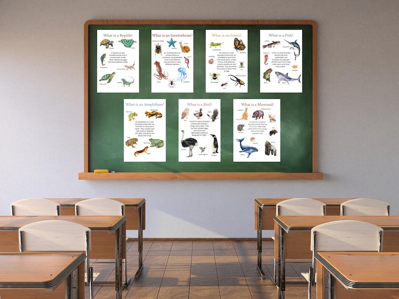 Animal Group Posters - Set of 7 - Classroom Decor Nature Study ...