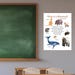 What is a Mammal? - Animal Group Posters - Classroom Decor Nature Study ...