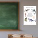 What is a Fish? - Animal Group Posters - Classroom Decor Nature Study ...