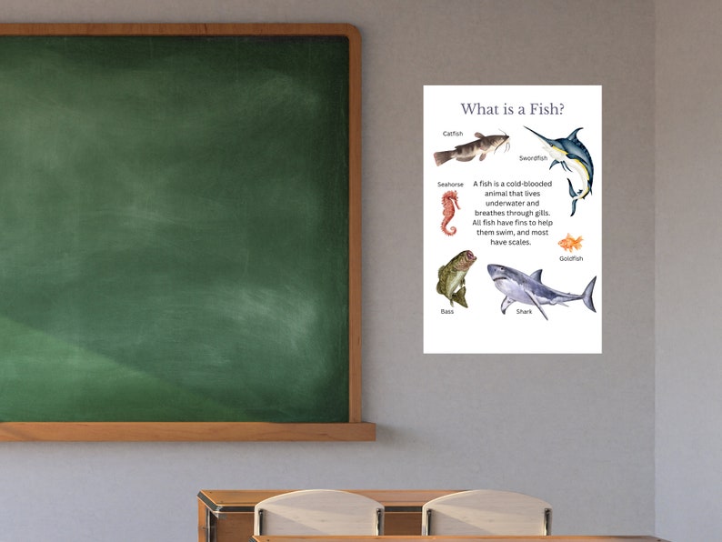What is a Fish? - Animal Group Posters - Classroom Decor Nature Study ...