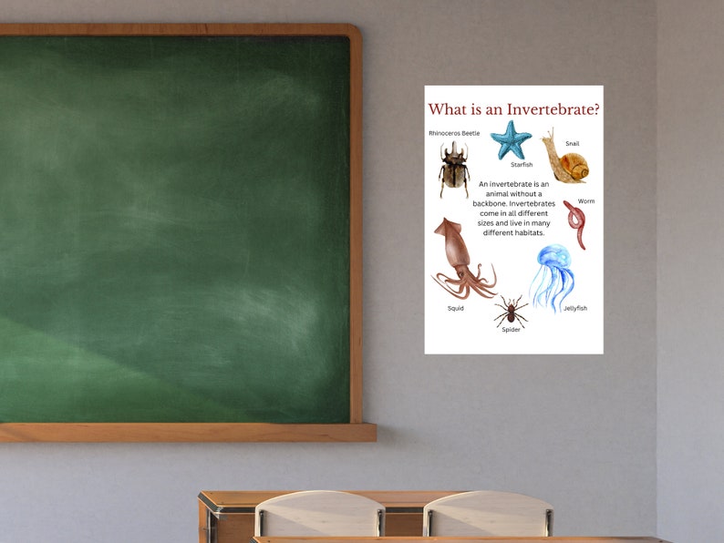 What is an Invertebrate? - Animal Group Posters - Classroom Decor ...