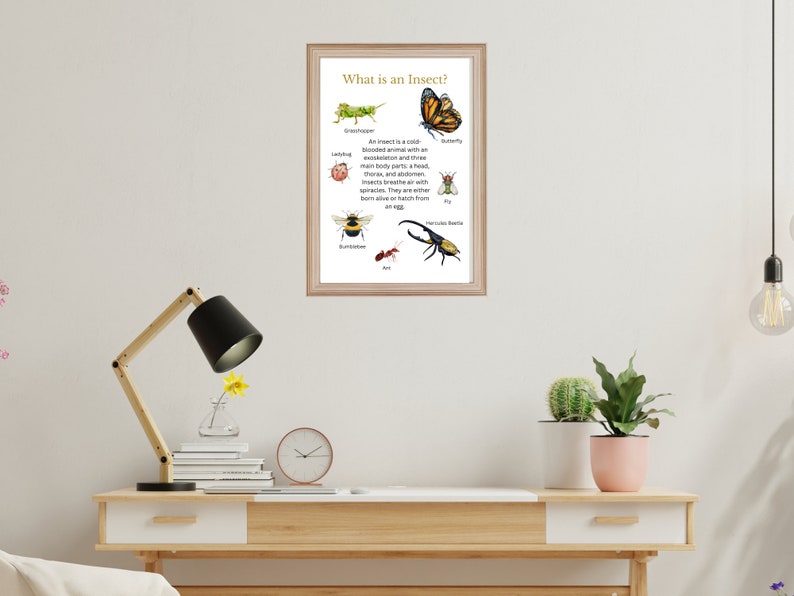 What is an Insect? - Animal Group Posters - Classroom Decor Nature ...