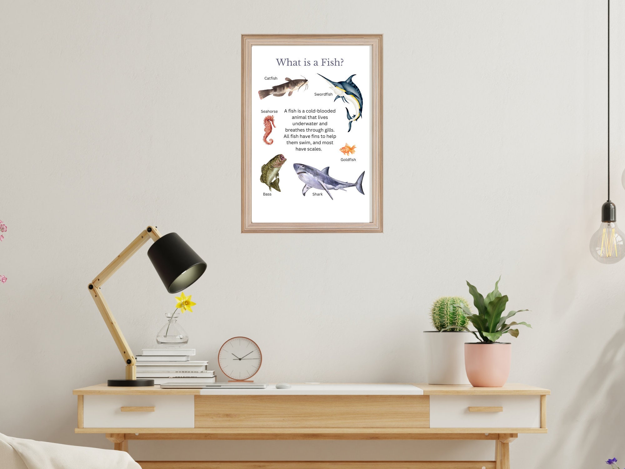 What is a Fish? - Animal Group Posters - Classroom Decor Nature Study ...