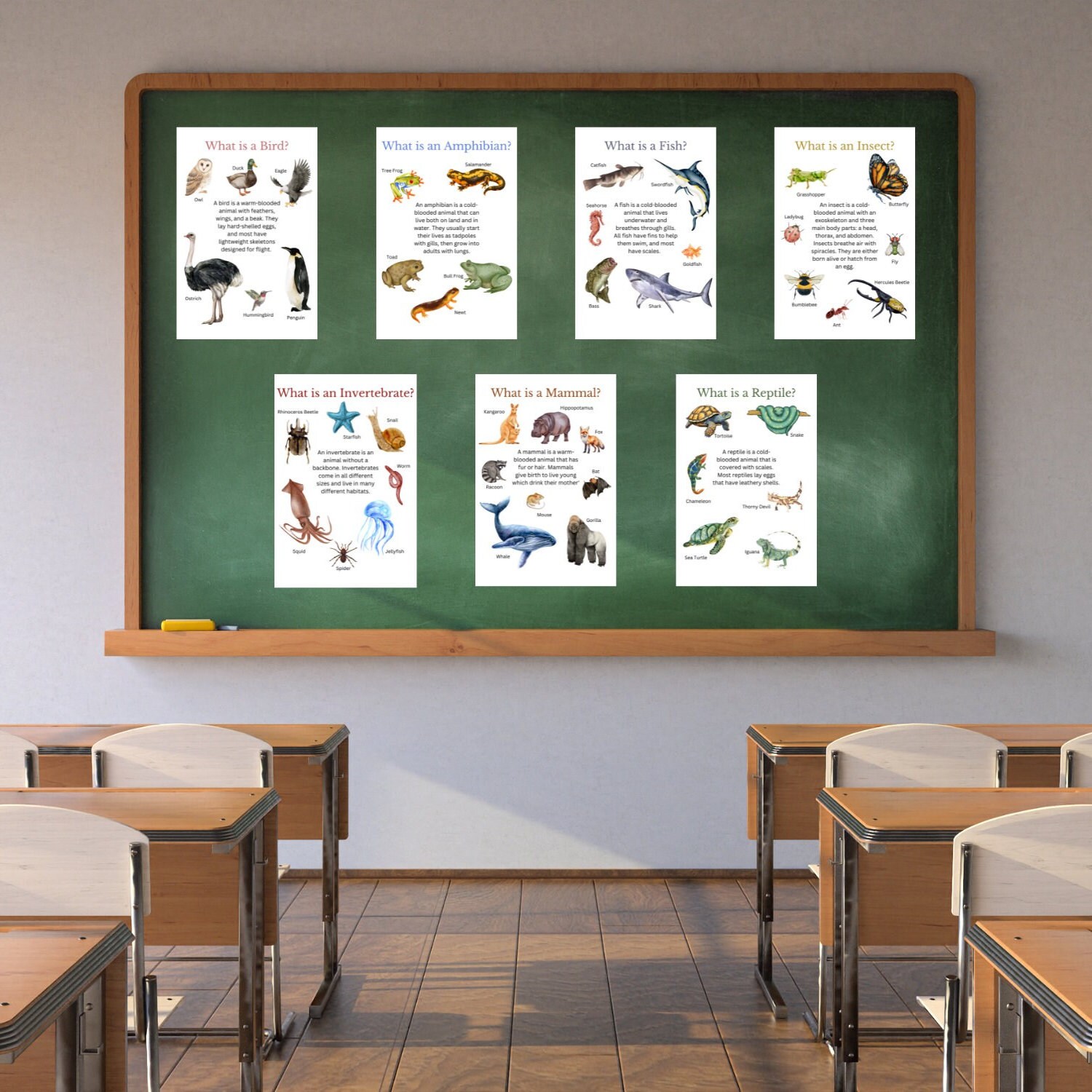 Animal Group Posters Set of 7 Classroom Decor Nature Study Educational ...