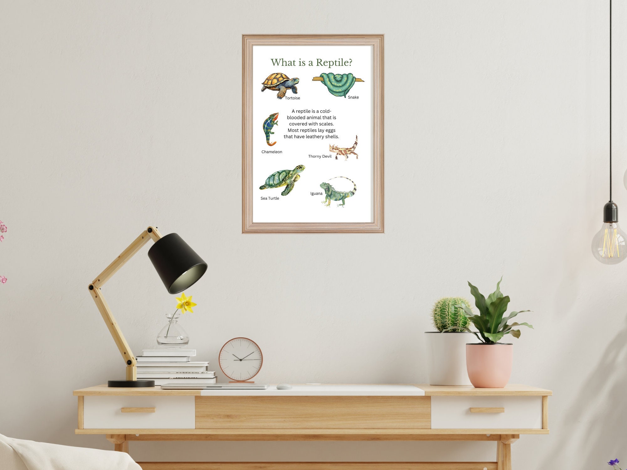 What is a Reptile? - Animal Group Posters - Classroom Decor Nature ...