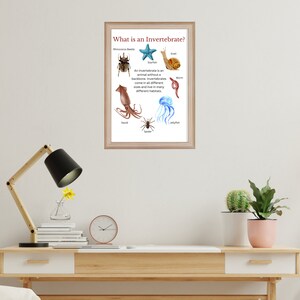 What is an Invertebrate? - Animal Group Posters - Classroom Decor ...