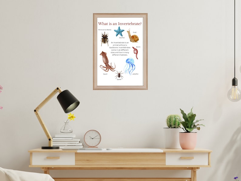 What is an Invertebrate? - Animal Group Posters - Classroom Decor ...
