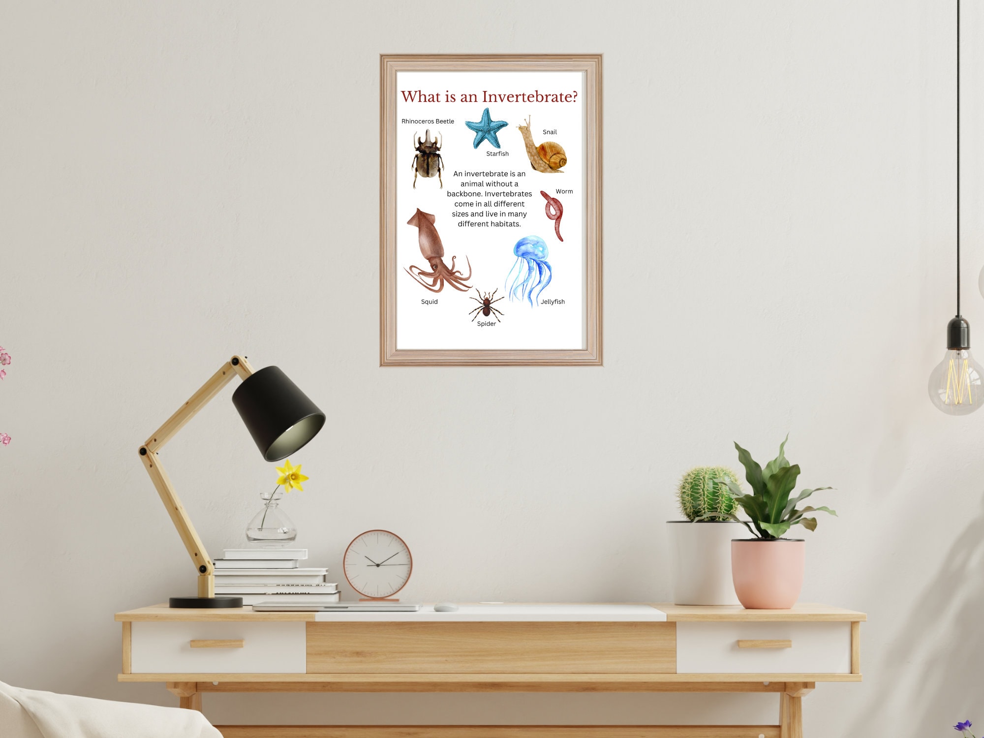 What is an Invertebrate? - Animal Group Posters - Classroom Decor ...