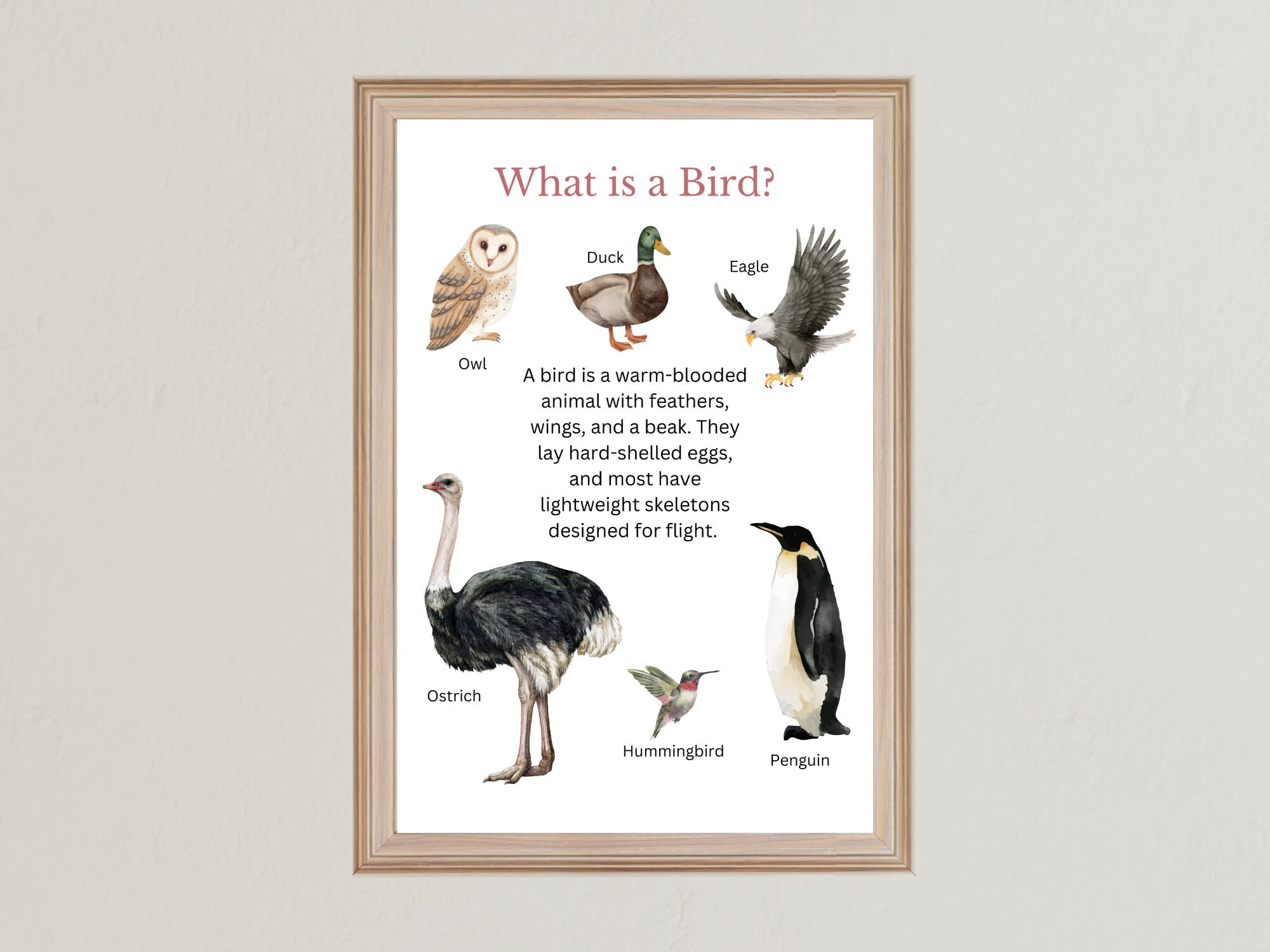 Animal Group Posters Set of 7 Classroom Decor Nature Study Educational ...