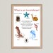 What is an Invertebrate? - Animal Group Posters - Classroom Decor ...