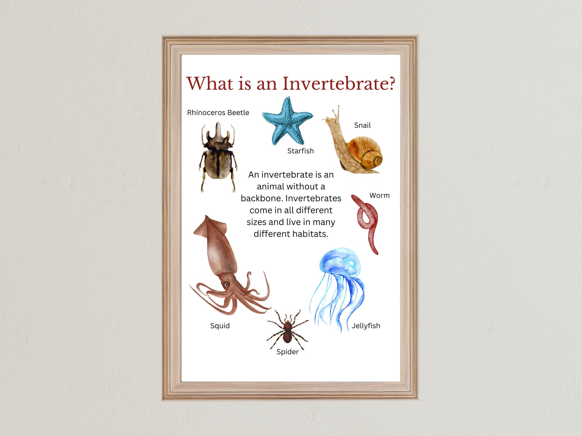What is an Invertebrate? - Animal Group Posters - Classroom Decor ...