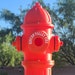 The Mini Fire Hydrant Birdhouse - Etsy