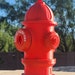 The Mini Fire Hydrant Birdhouse - Etsy